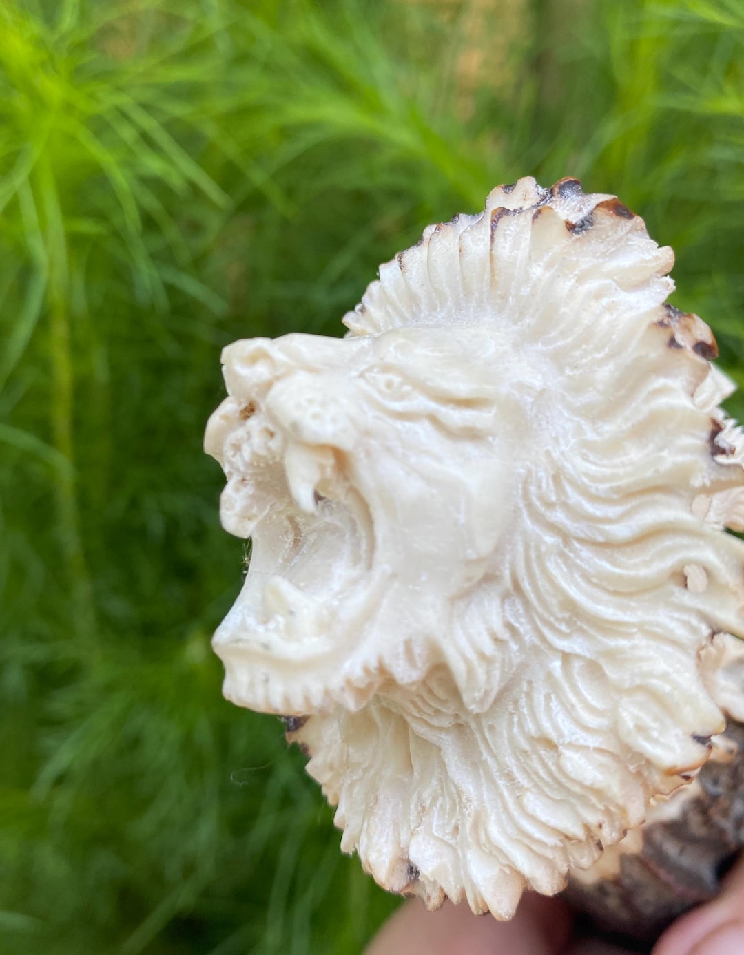 Lion Carving, Moose Carving, Carved Knife Handle, African Lion, Carved ...