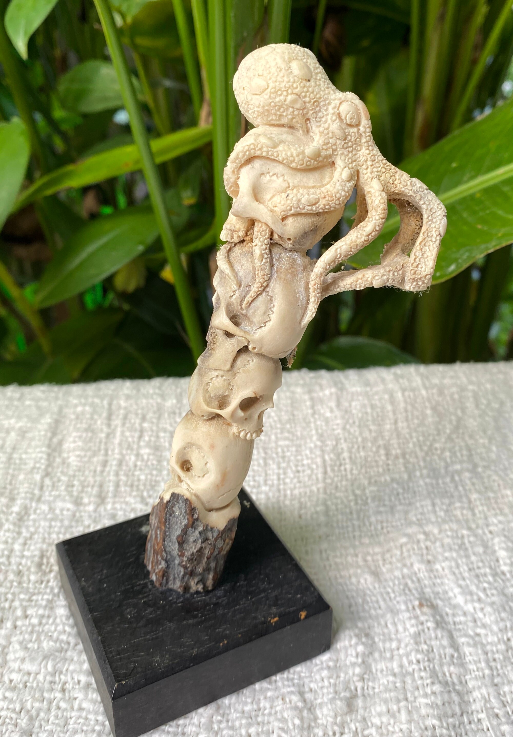 Octopus Skull, Knife Handle, Carved Knife Handle, Moose Handle, Moose ...