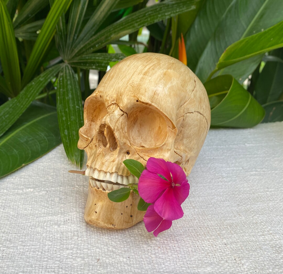 Human Skull Carved Replica Carved Skull Skull Decor - Etsy
