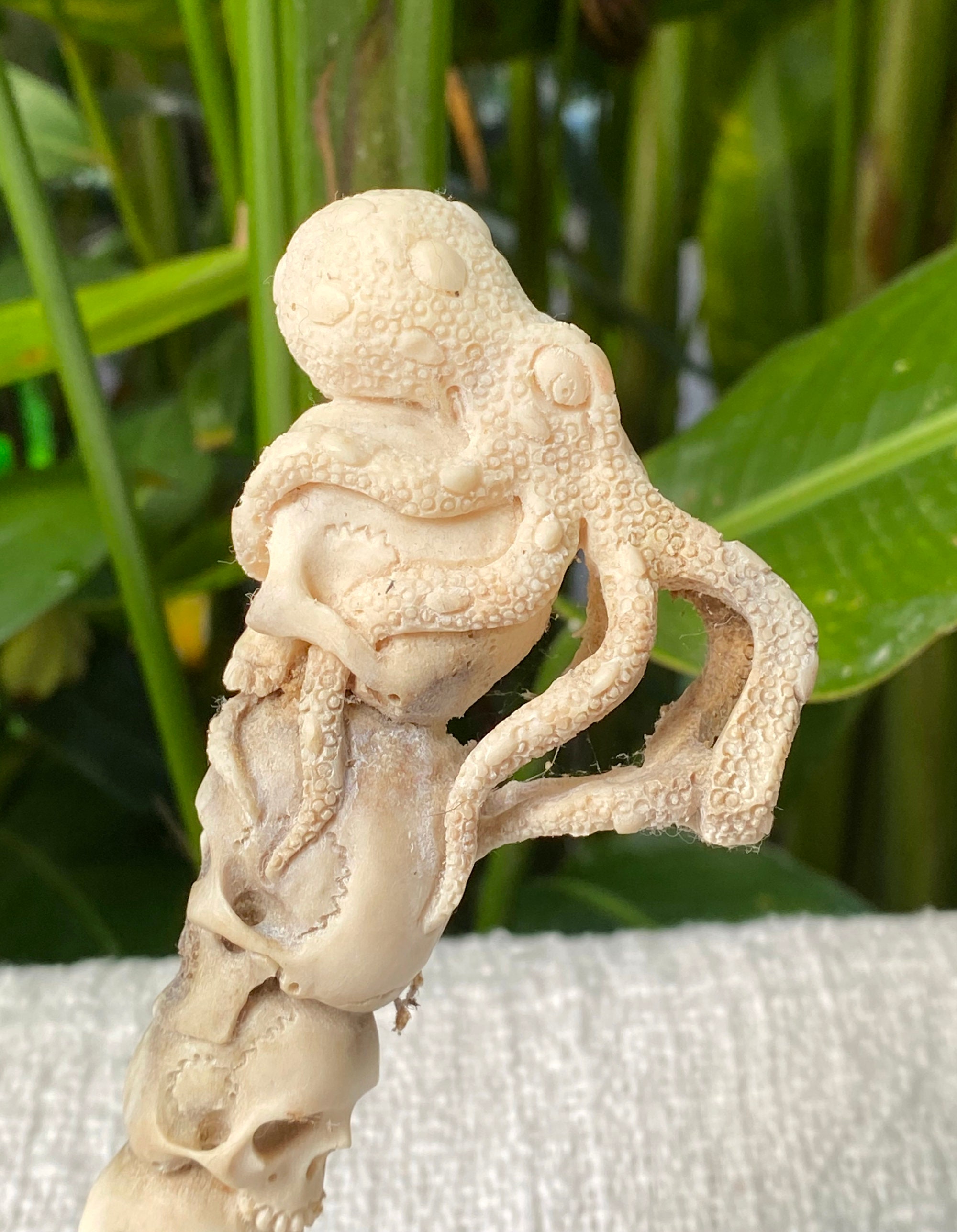 Octopus Skull, Knife Handle, Carved Knife Handle, Moose Handle, Moose ...