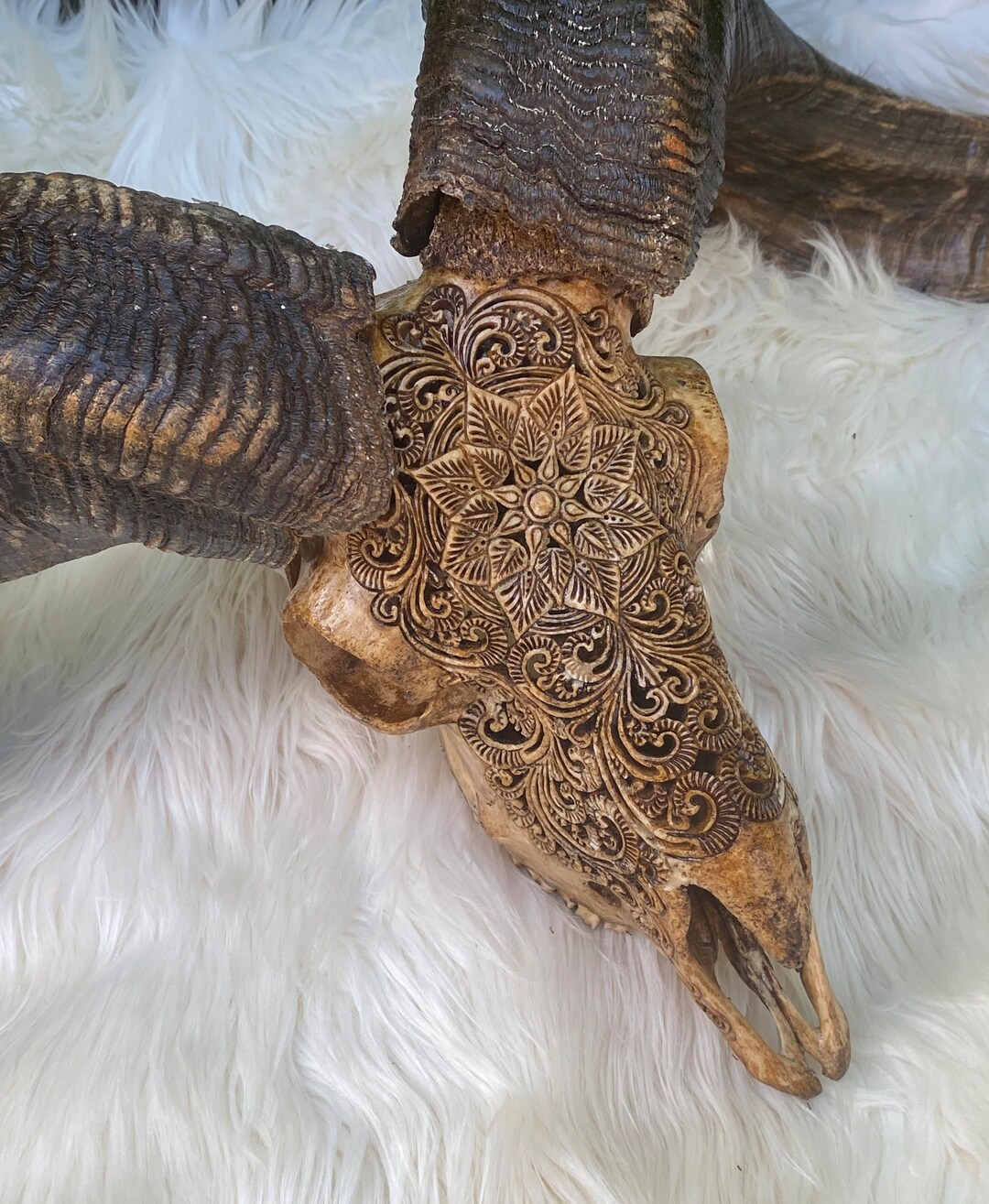 Carved Goat Skull Ram Skull Carved Skull Mandala Skull - Etsy
