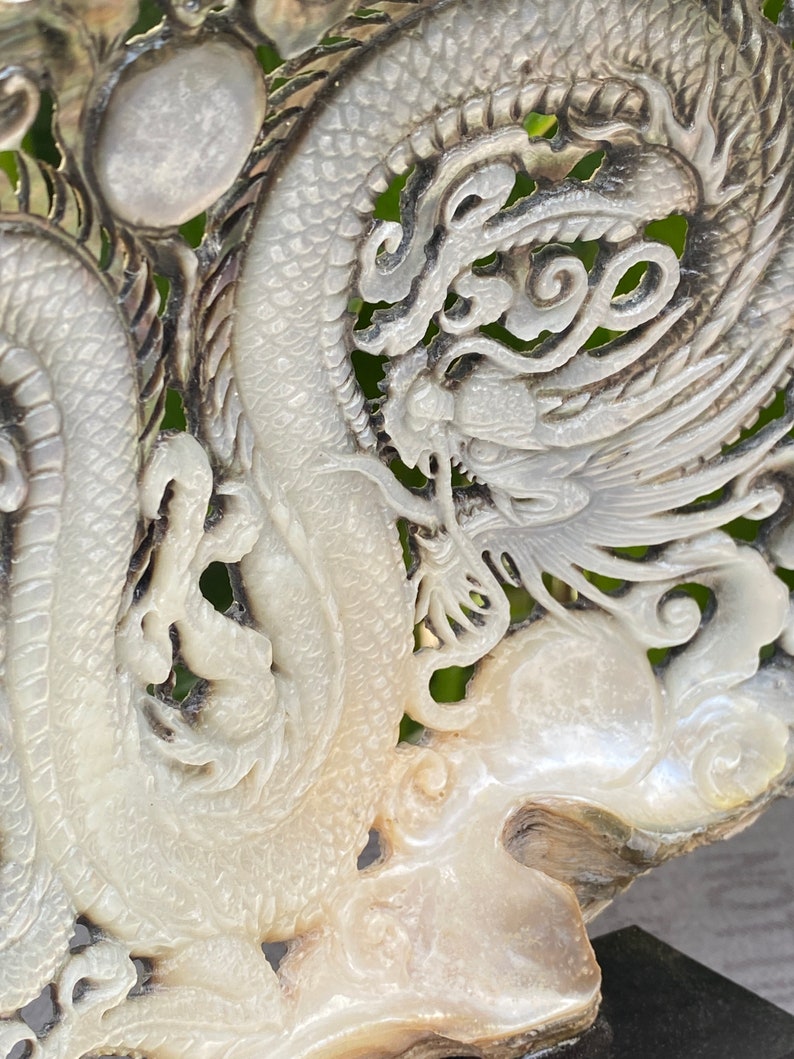 Dragon Carved Shell, Carved Mother of Pearls, Large Shell, Genuine ...