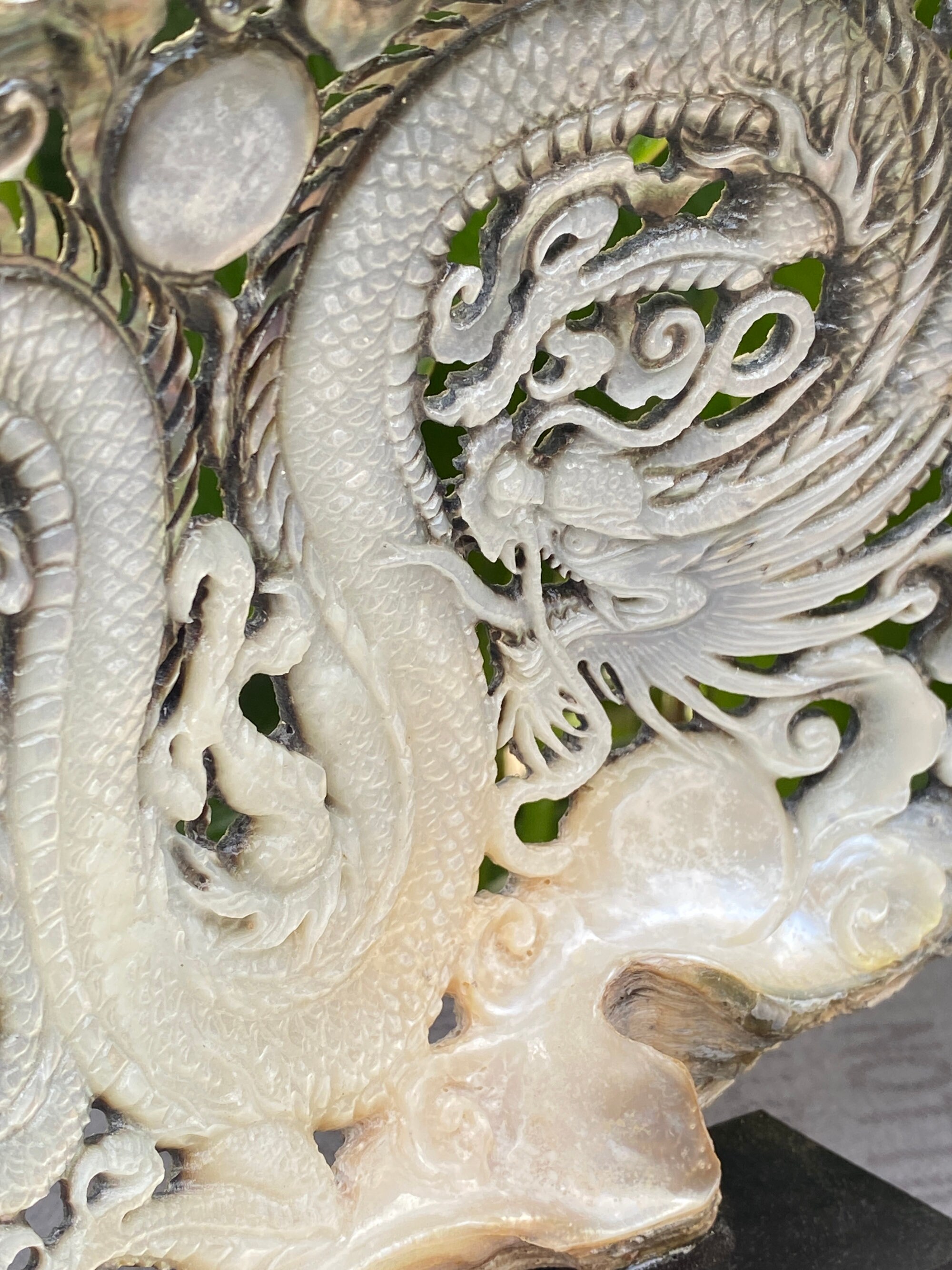 Dragon Carved Shell, Carved Mother of Pearls, Large Shell, Genuine ...