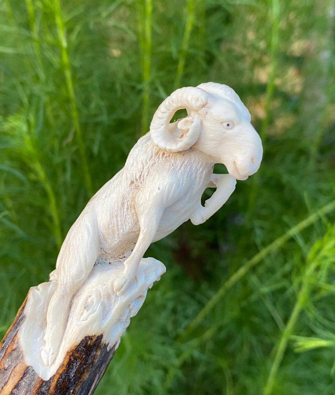 Moose Carving Antler Carving Goat Carved Figurines Stand Antler Carving ...