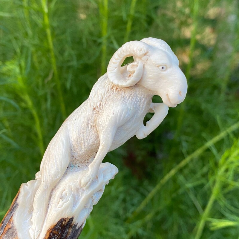 Bone Carving - Etsy