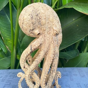 Unique Octopus Carved Wooden Statue, Carved Octopus Skull - Etsy