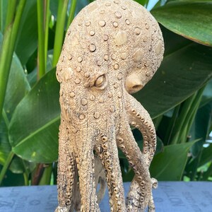 Unique Octopus Carved Wooden Statue, Carved Octopus Skull - Etsy