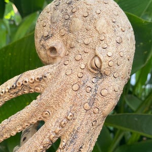Unique Octopus Carved Wooden Statue, Carved Octopus Skull - Etsy