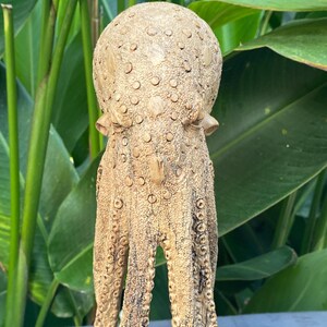 Unique Octopus Carved Wooden Statue, Carved Octopus Skull - Etsy
