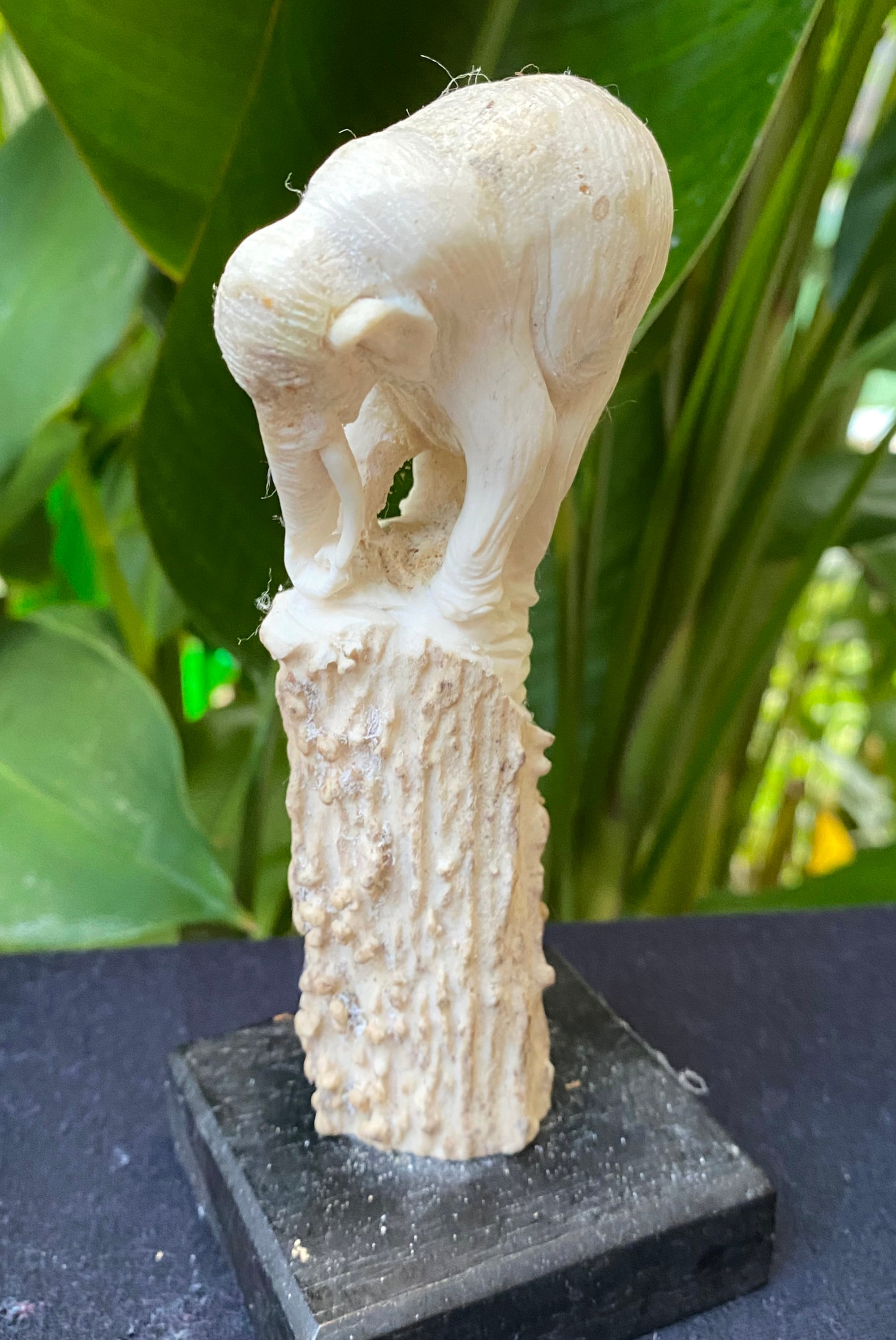 Elephant Knife Handle Elephant Carved Knife Handle Deer Antler Carving ...