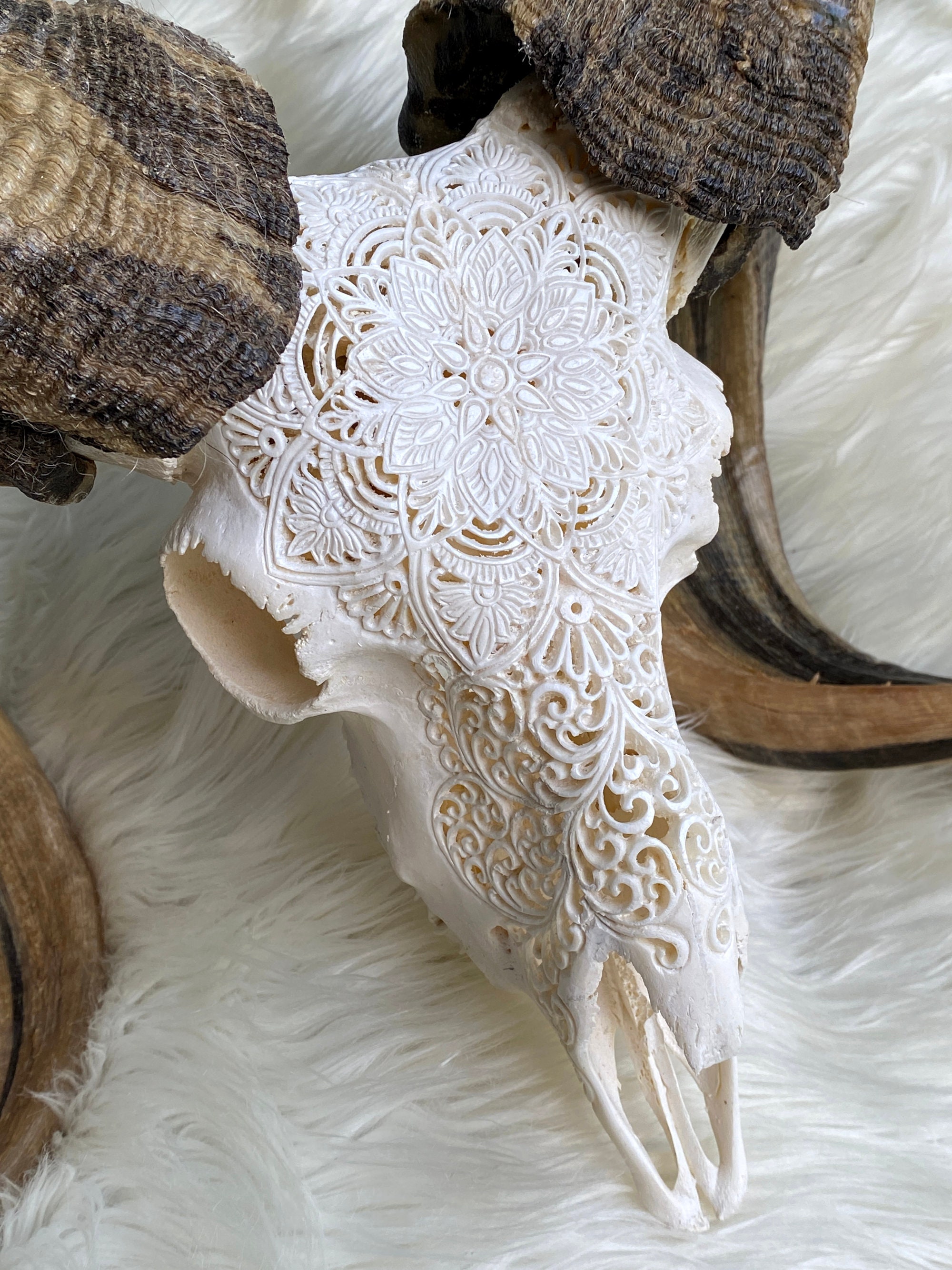 Ram Skull Goat Skull Carved Modern Design Horns Cow Skull Bull - Etsy