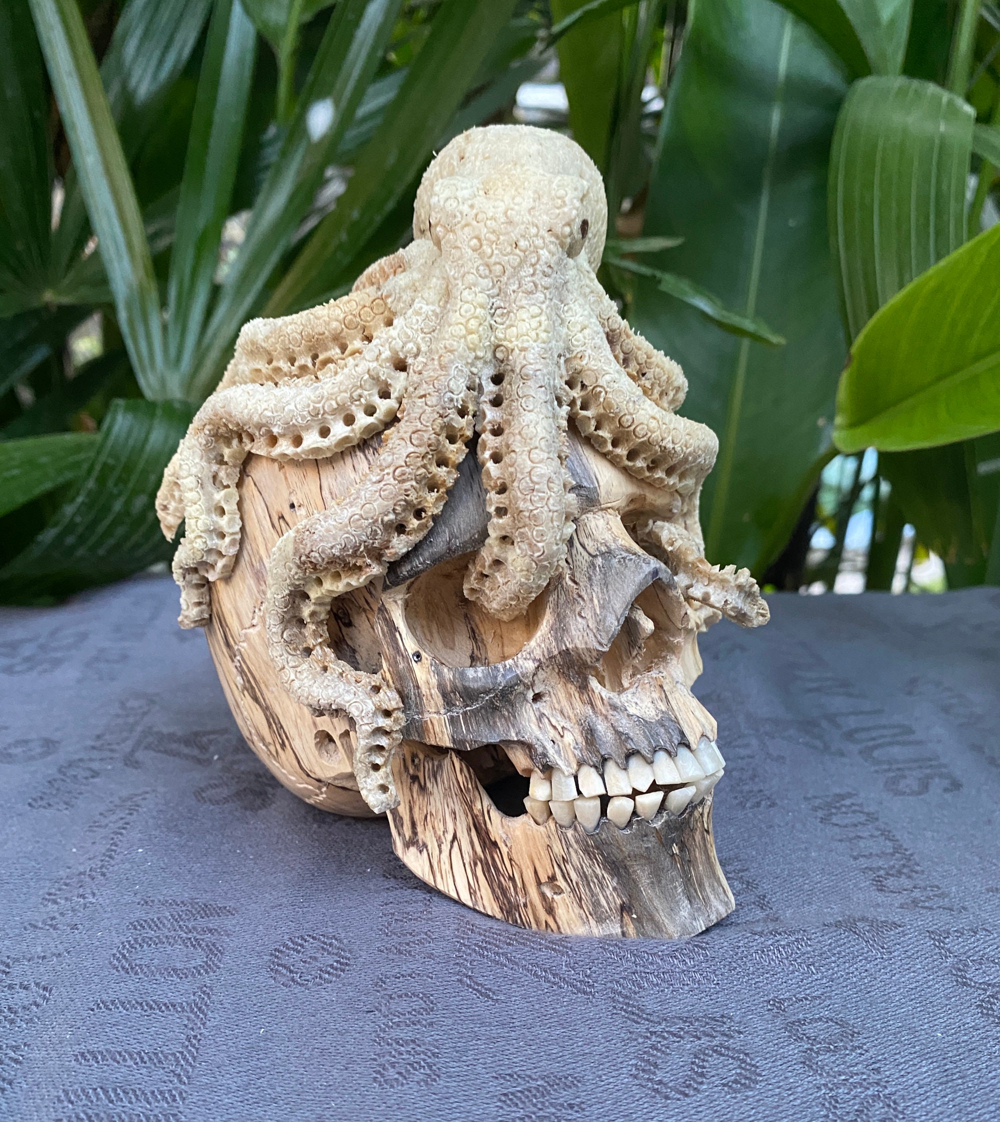 Human Skull, Octopus Carving, Skelton Head, Skull, Human Skull, Hand ...