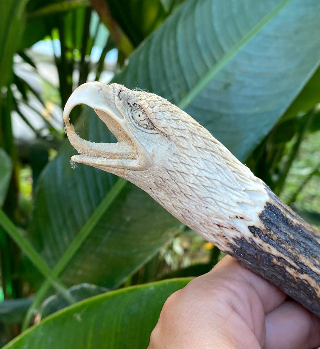 Eagle Carving Hawk Carving Knife Handle Antler Shed Carving Knives ...