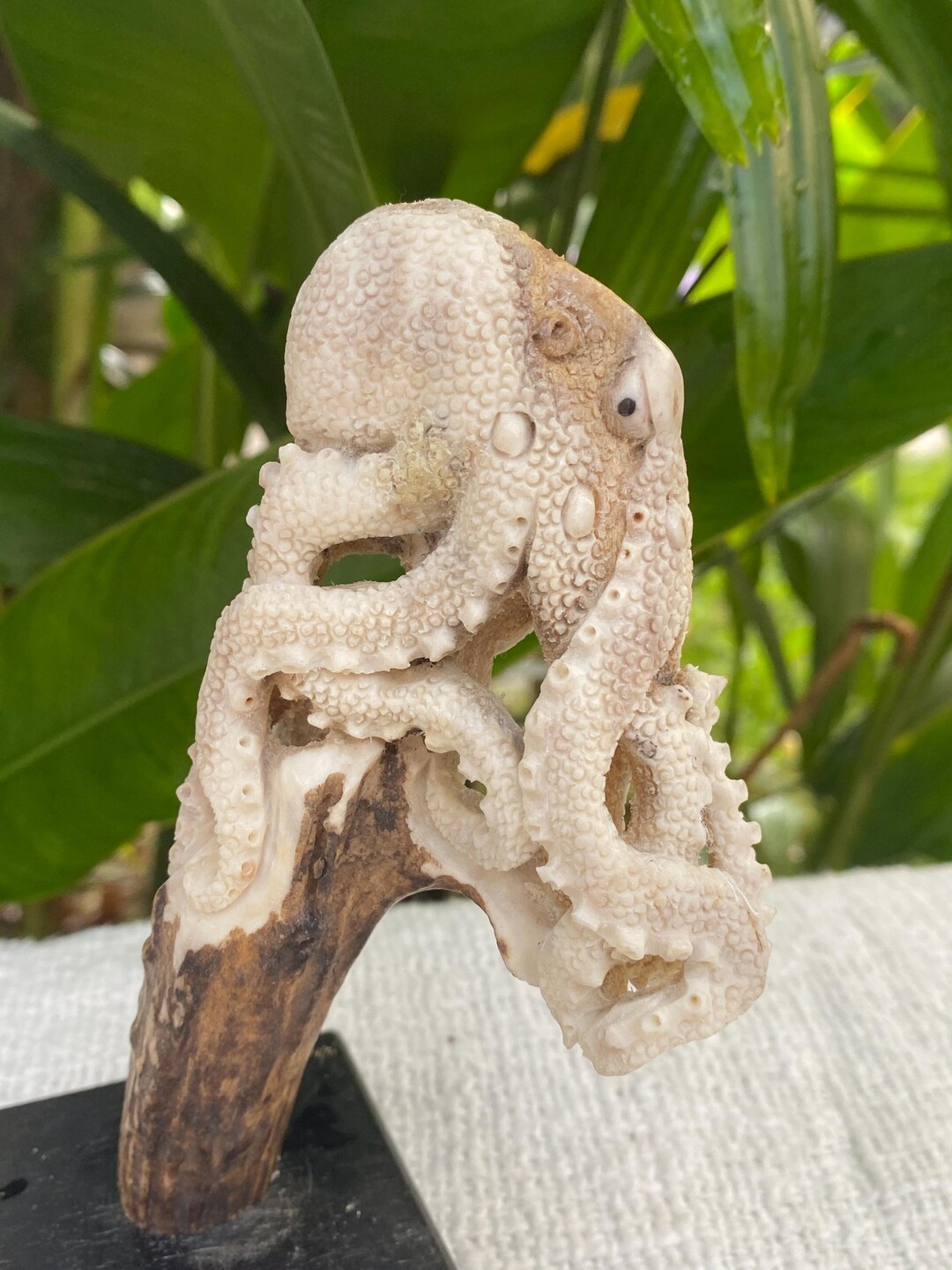 Huge Octopus Moose Carving Knife Handle Antler Carved Knife Handle - Etsy