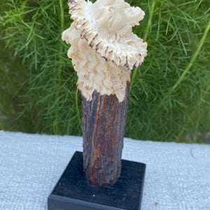 Lion Carving, Moose Carving, Carved Knife Handle, African Lion, Carved ...