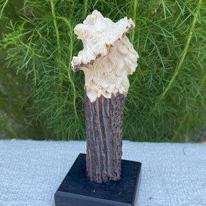 Lion Carving, Moose Carving, Carved Knife Handle, African Lion, Carved ...