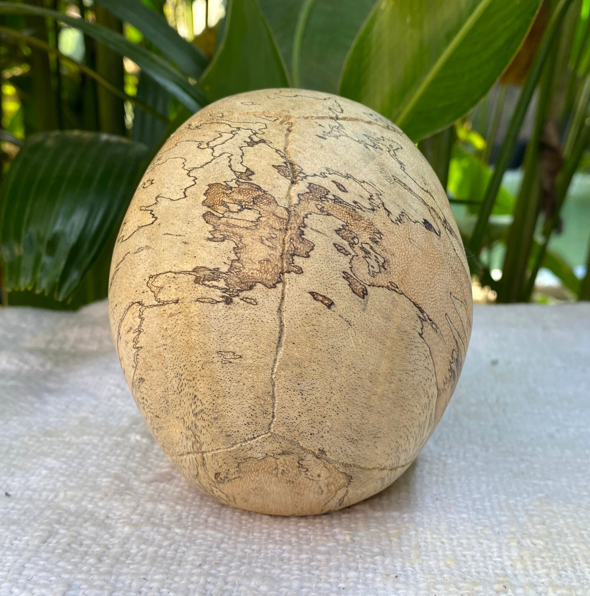 Human Skull Wood Skull Handcarved Wooden Skull Sculpture - Etsy