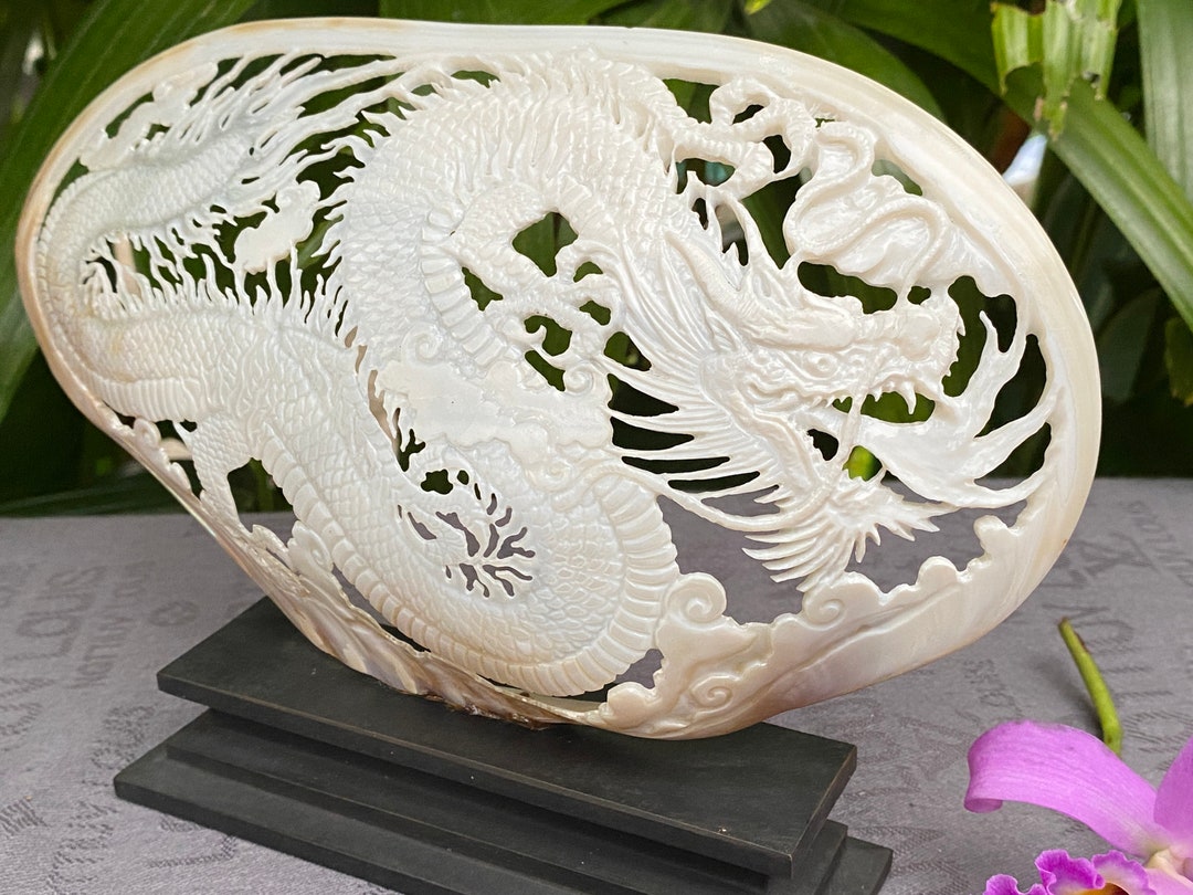 Lovely Carved Dragon Carved Shell, Carved Mother of Pearls, Large Shell ...