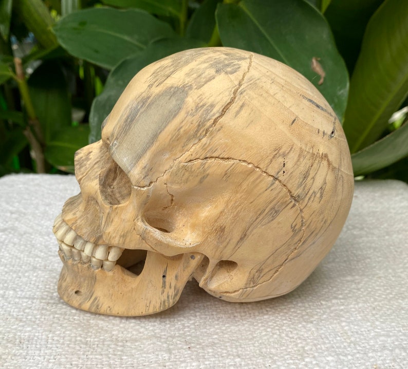 Human Skull Carved Replica Carved Skull Skull Decor - Etsy