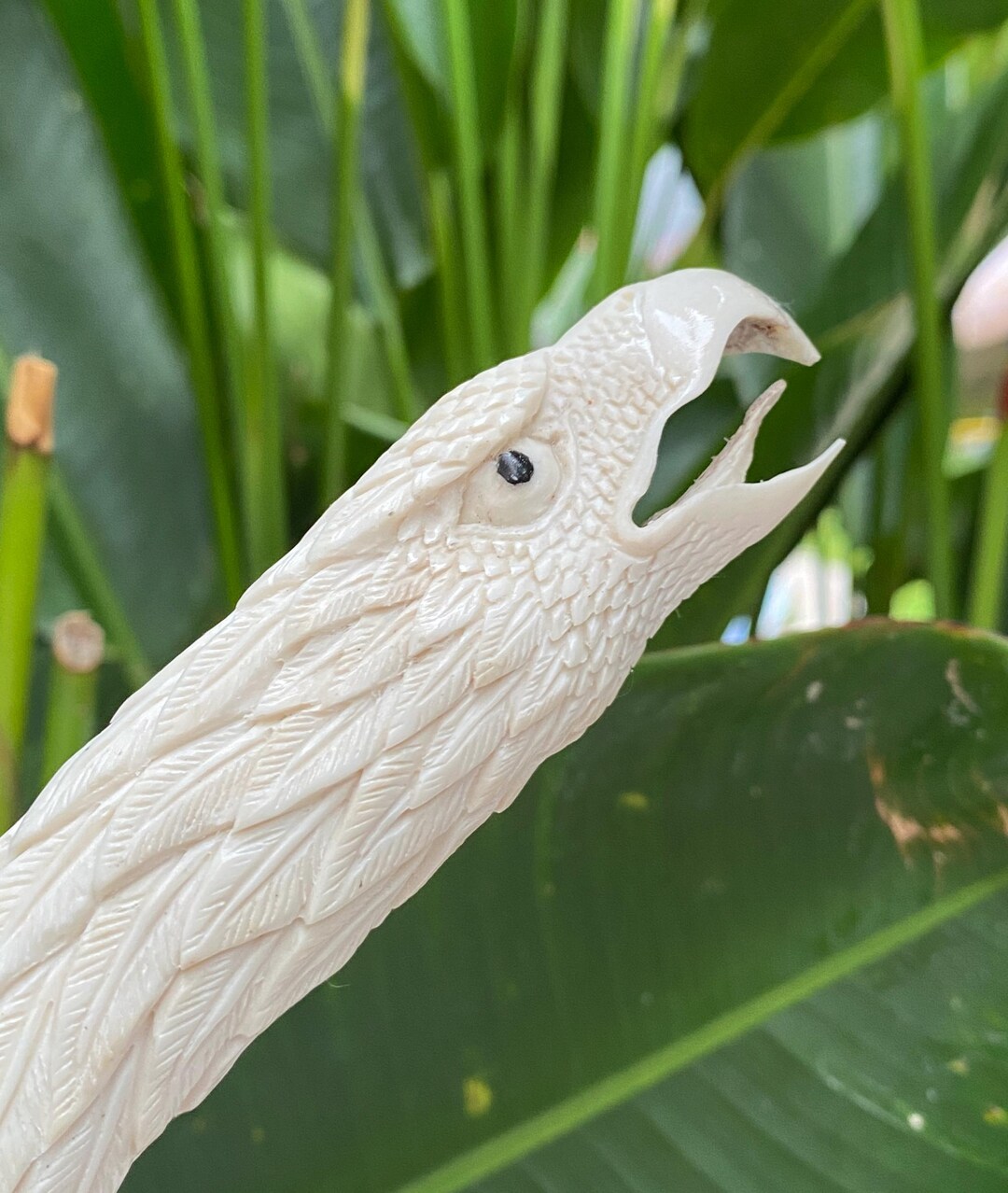 Eagle Carving Hawk Carving Knife Handle Antler Shed Carving Knives ...