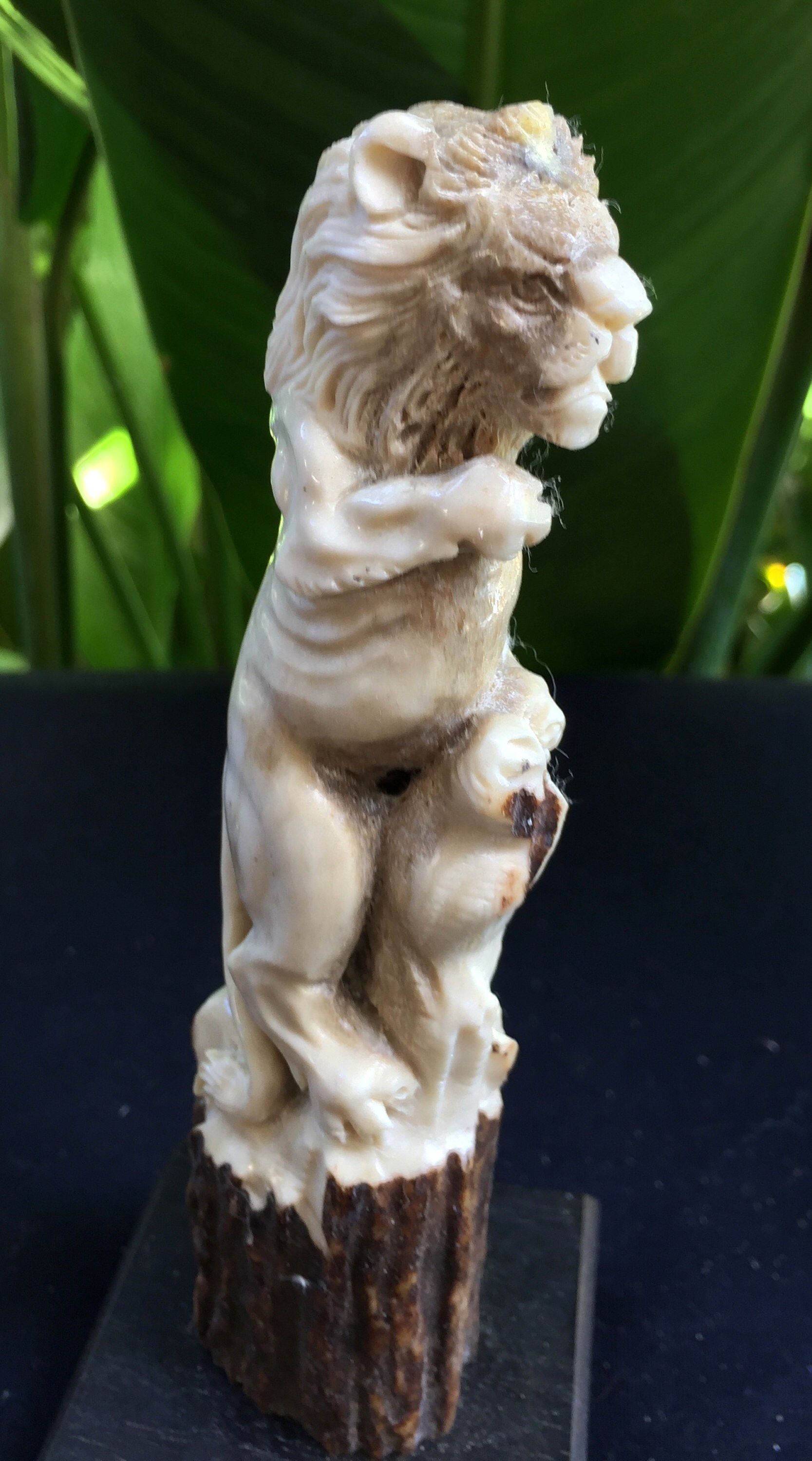 Lion King Carving Knife Handle Carved Puma Knife Handle Deer Antler ...