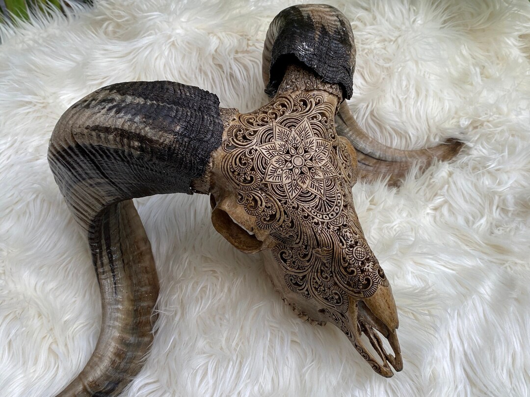 Ram Goat Skull Bull Skull Lotus Flower Decor Bali Art Skull - Etsy