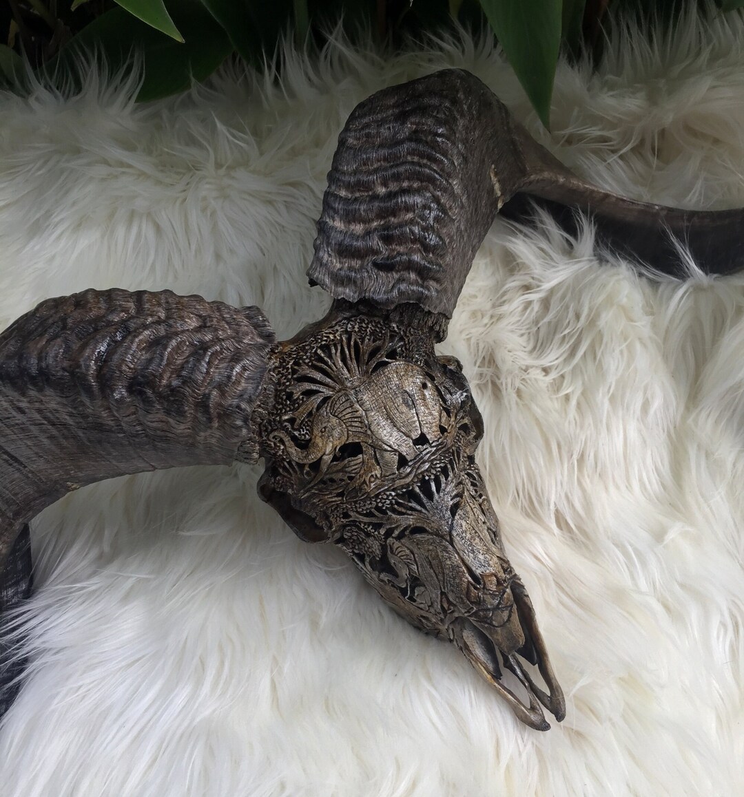 Elephant Carved Skul Ram Skull Animal Carving African Elephant - Etsy