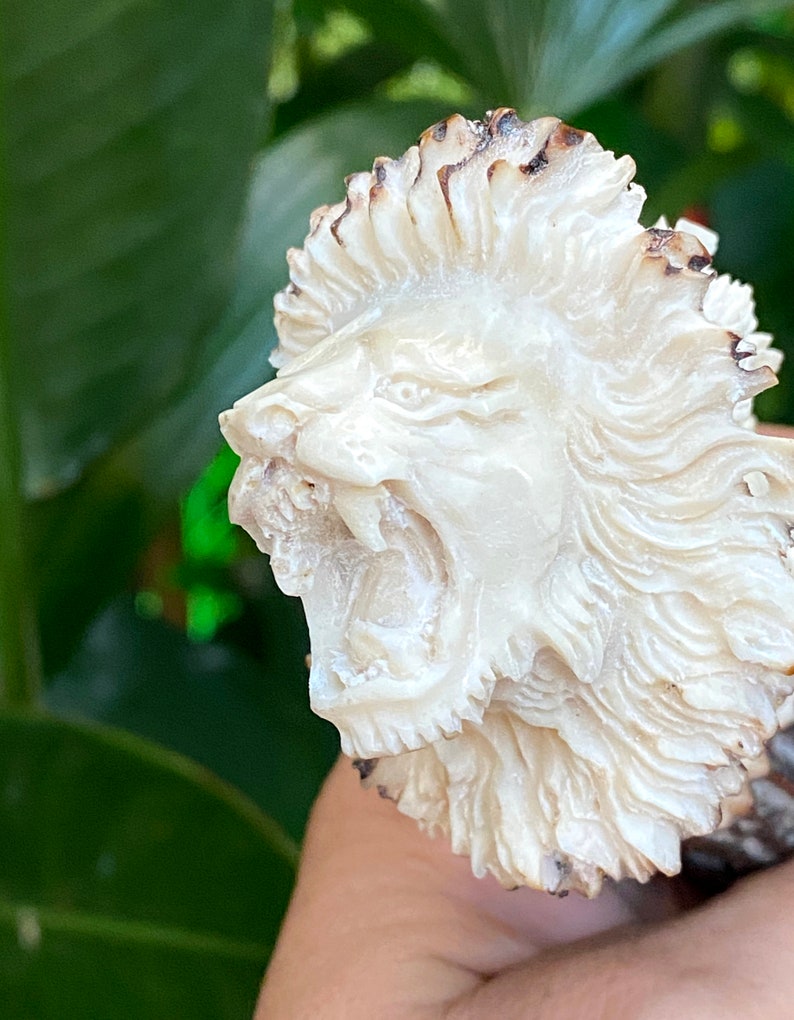 Lion Carving Moose Carving Carved Knife Handle African - Etsy