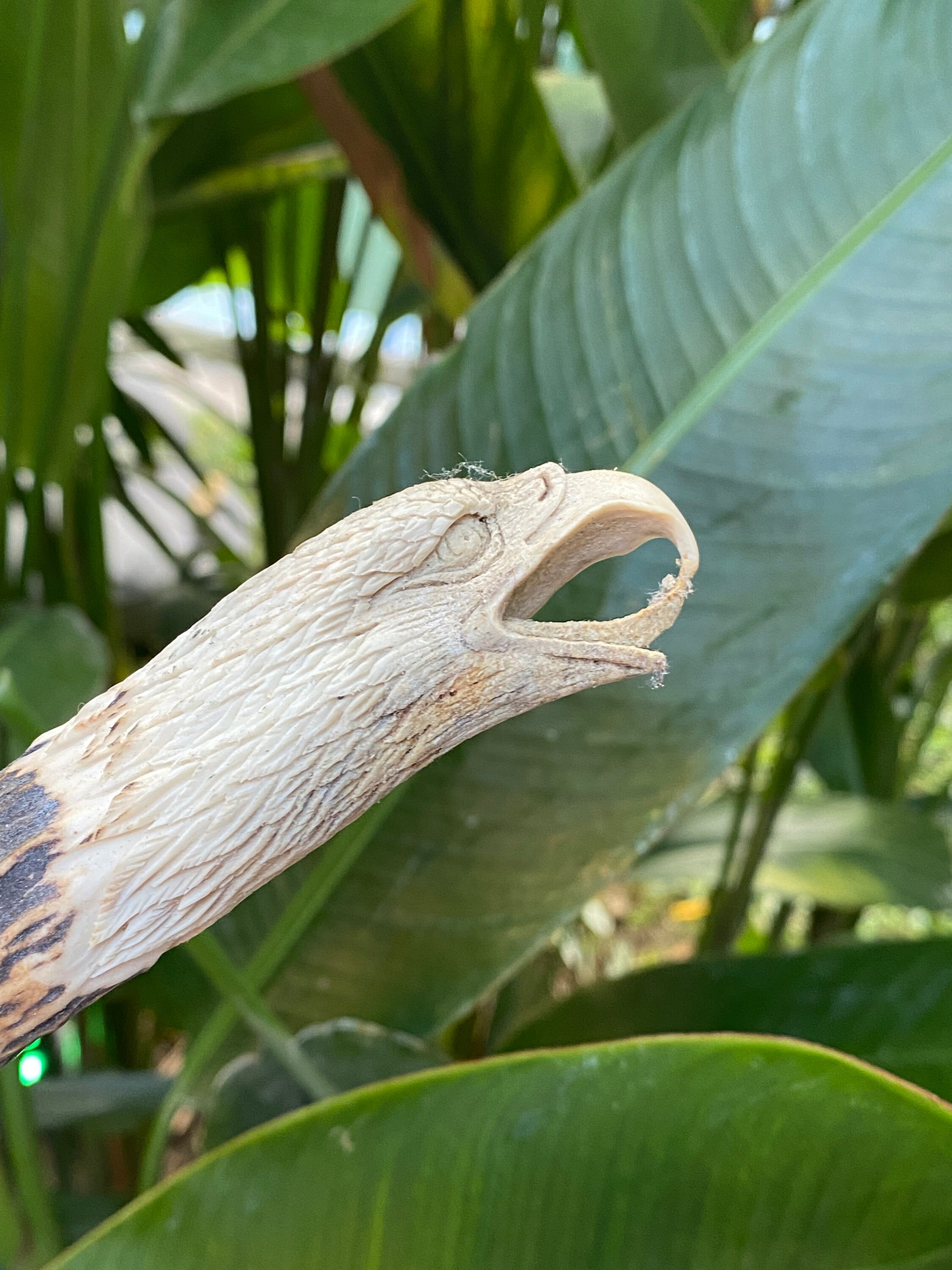 Eagle Carving Hawk Carving Knife Handle Antler Shed Carving Knives ...