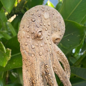 Unique Octopus Carved Wooden Statue, Carved Octopus Skull - Etsy