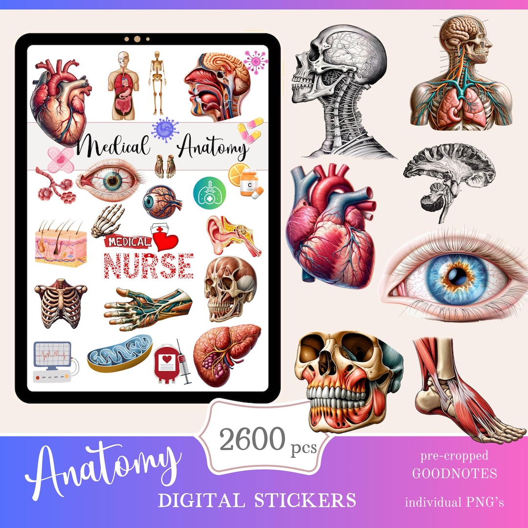 Anatomy Medical Goodnotes Stickers Nurse Medical Digital Sticker Pack ...