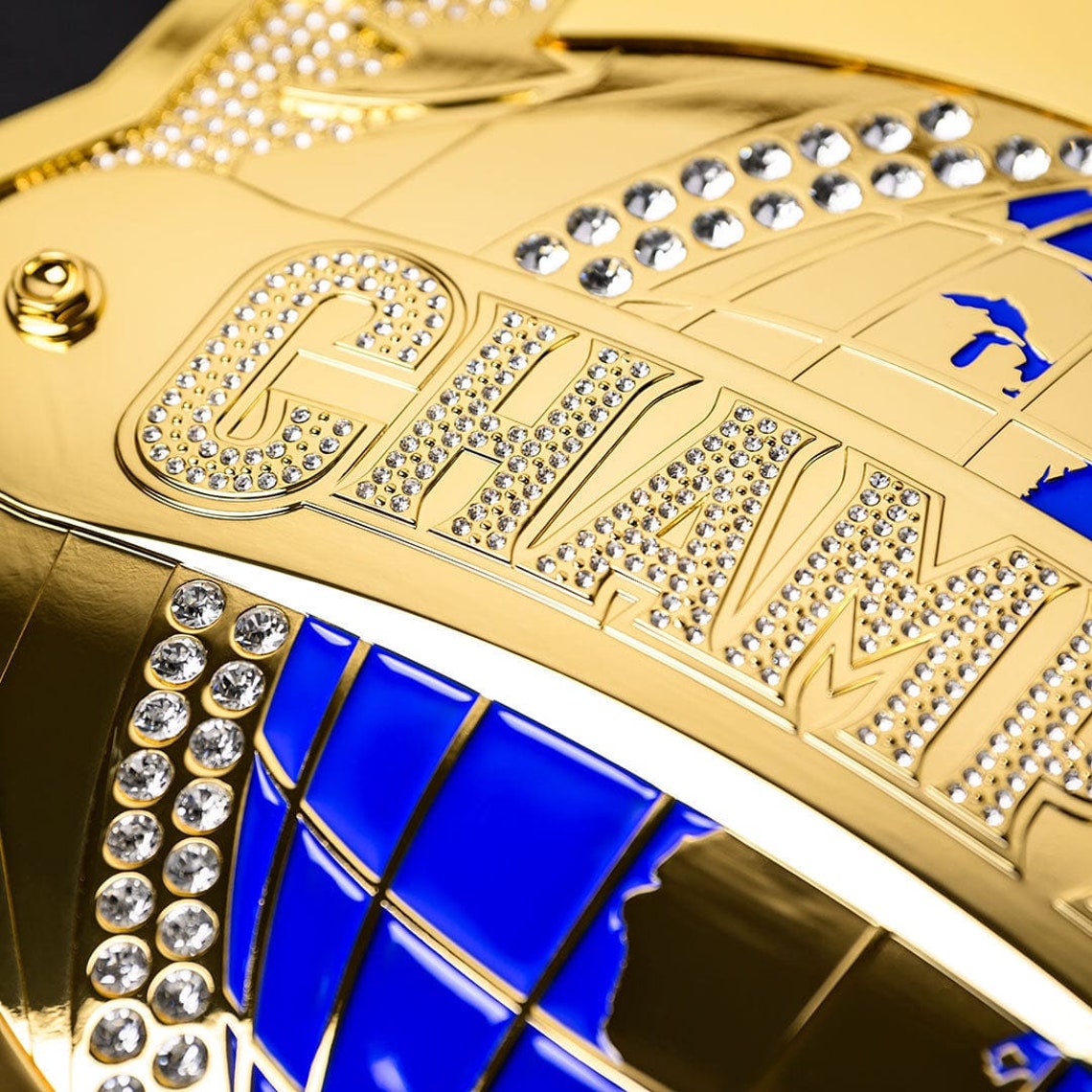 Ultimate Blinged-out Championship Belt - 9 LBS Belt - | Heavy Gold ...