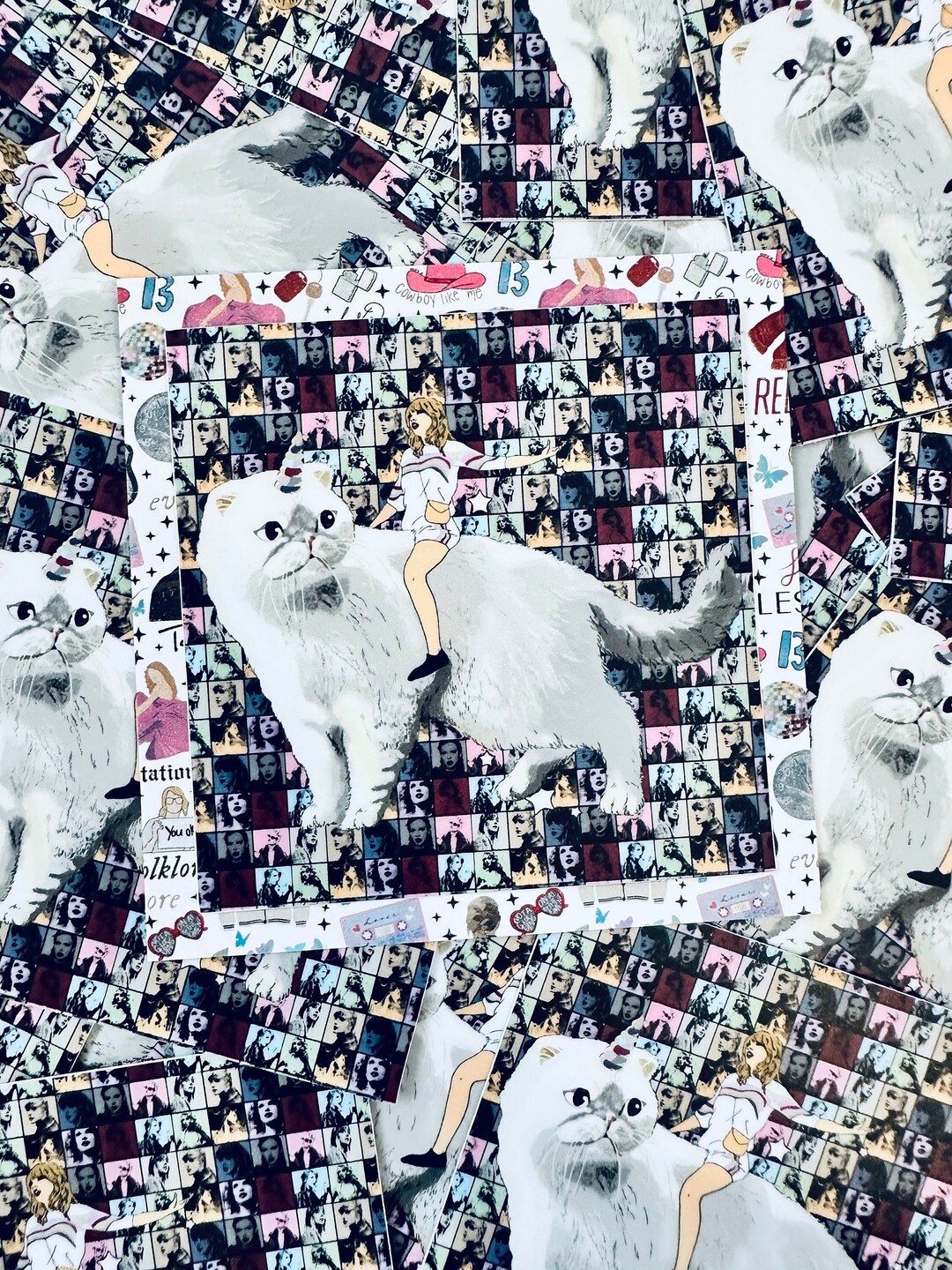 Taylor Riding Cat to the Eras Tour, caticorn Commercial, Swift Riding ...