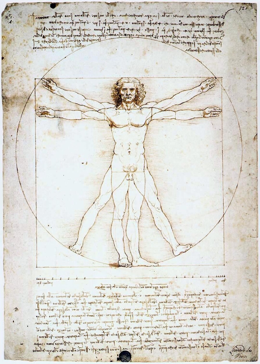VELLUM PRINT- Da Vinci's Vitruvian Man - Etsy