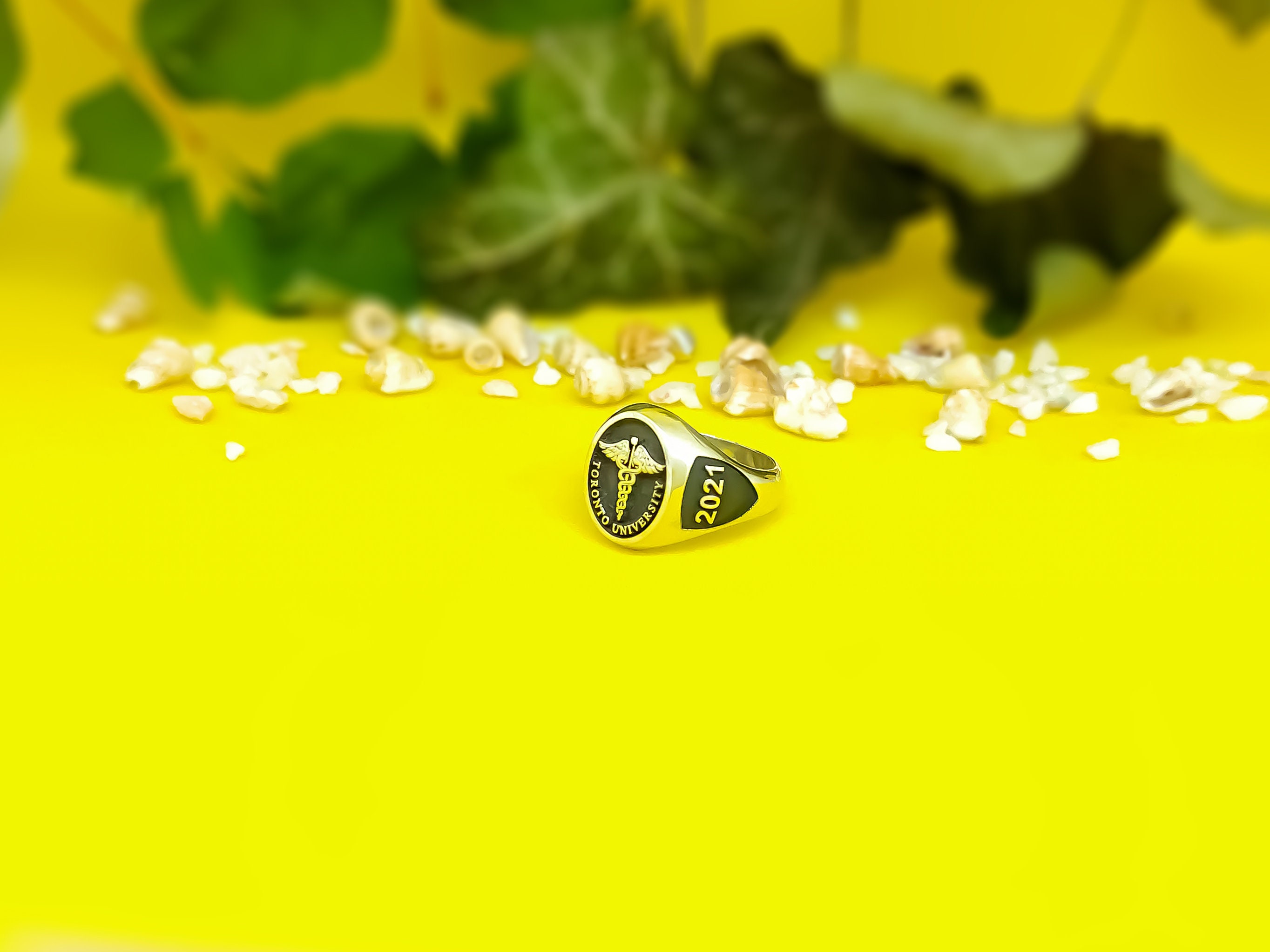 College Class Ring-class Rings-graduation Ring-school | Etsy