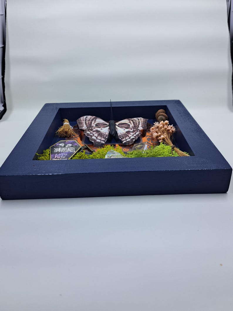 Shadowbox Decor - Spooky/witchy Theme, Skull Butterfly, Moss, Nature ...