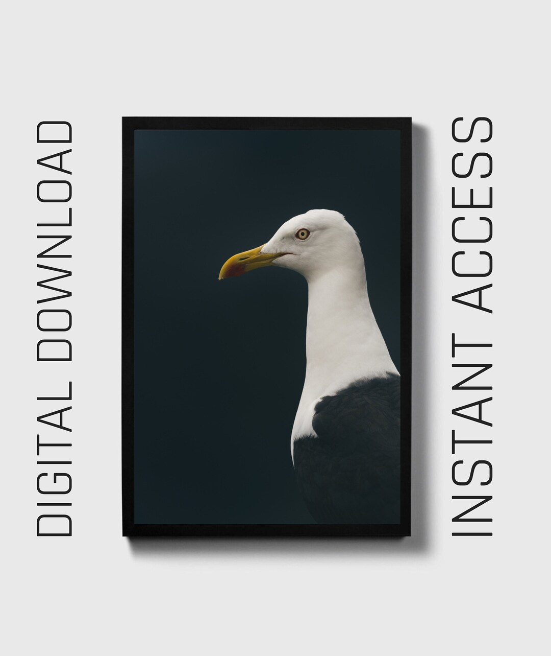 Gull Photography, Digital Download, Printable Wall Art, Nature Wall ...