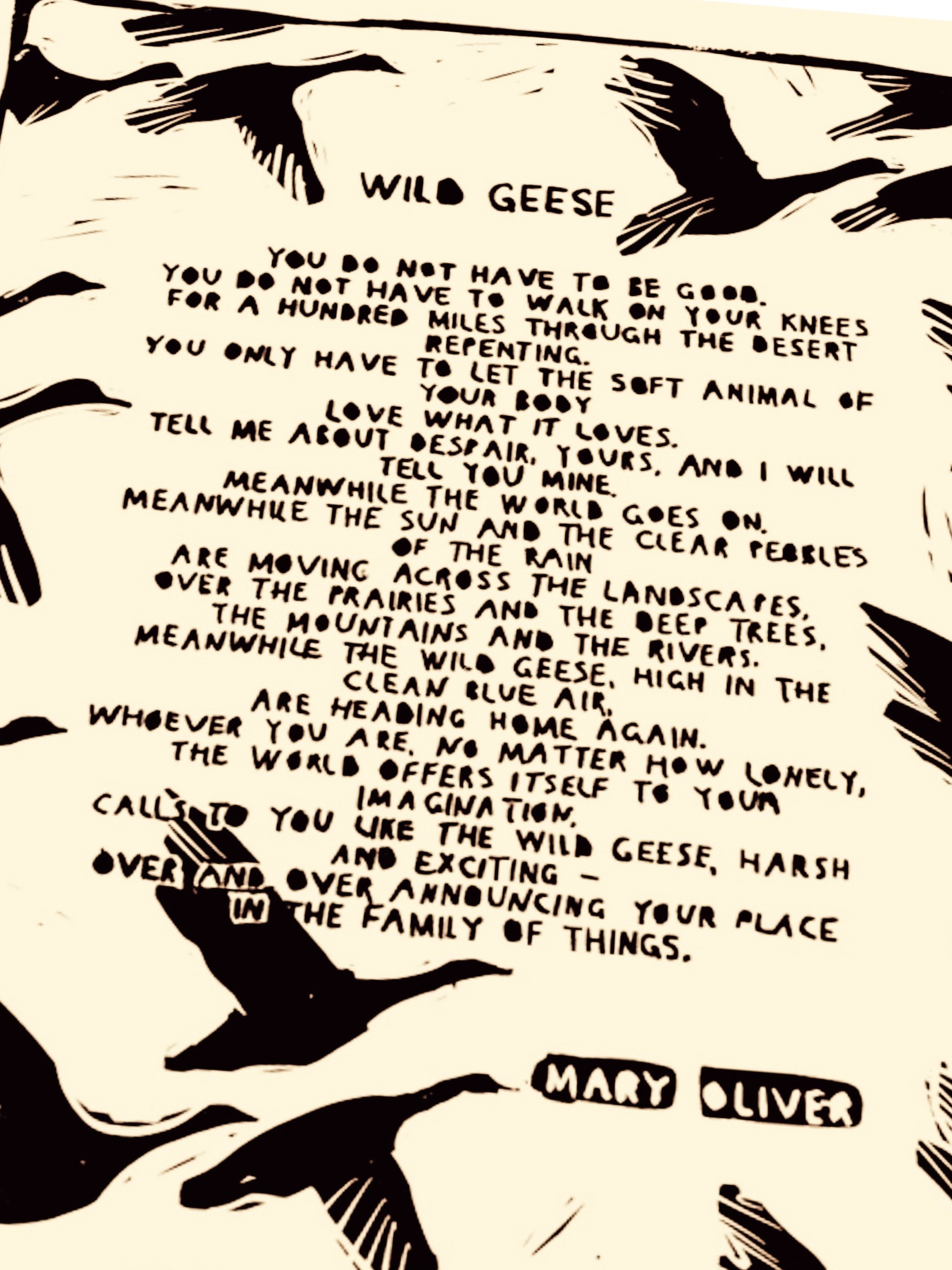 Mary Oliver Wild Geese