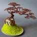 Miniature Wire Bonsai With Moos/ Made of Aluminium/ Birthday Present ...