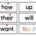 Heart Word Fluency Lines and Flash Cards: 110 Orthographically Mapped ...