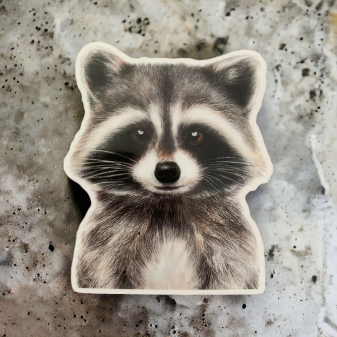 Raccoon Vinyl Sticker Weatherproof - Etsy