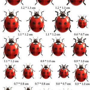 Ladybird Ladybug Lady Beetle Nail Art Decal Sticker - Etsy