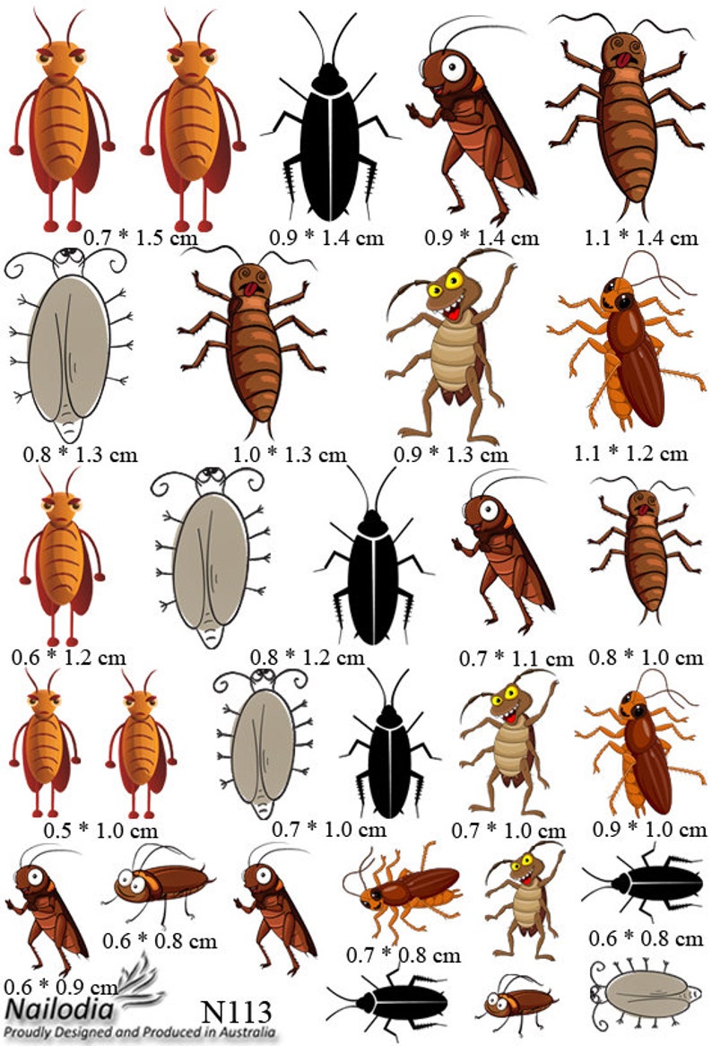 Cockroach Set Nail Art Decal Sticker - Etsy