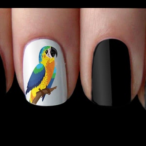 Parrot & Macaw Lovers Nail Art Decal Sticker - Etsy