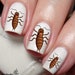 Cockroach Set Nail Art Decal Sticker - Etsy