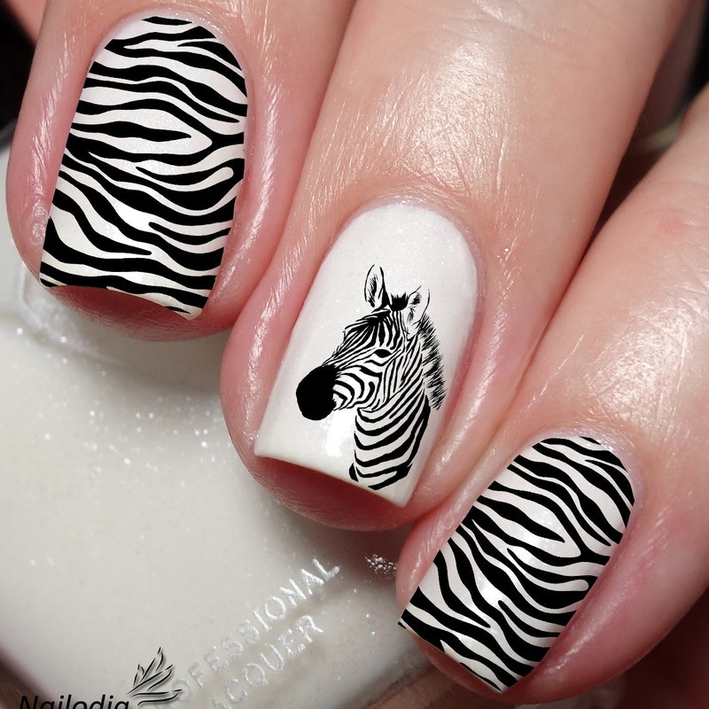 Zebra Decal - Etsy