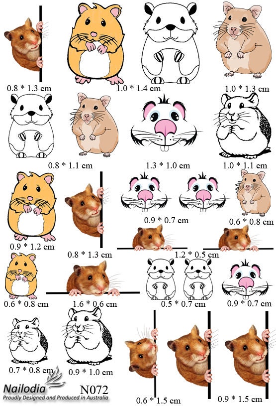 Hamster Breeds Chart