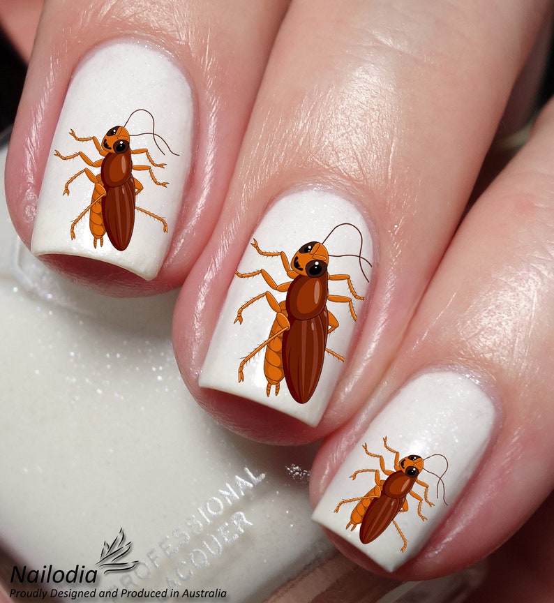 Cockroach Set Nail Art Decal Sticker - Etsy