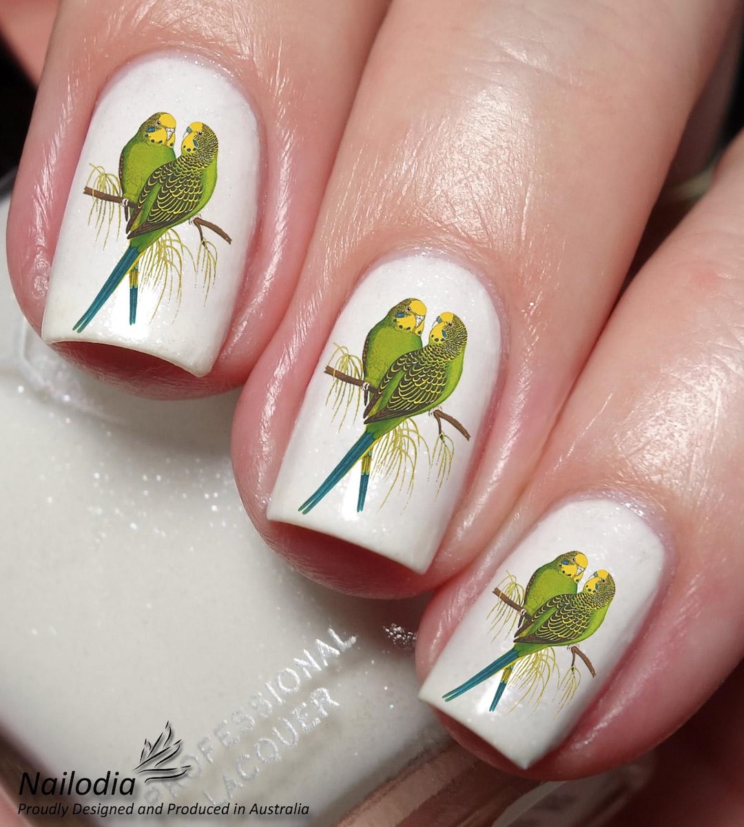 Parakeet Budgie Bird Nail Art Decal Sticker - Etsy