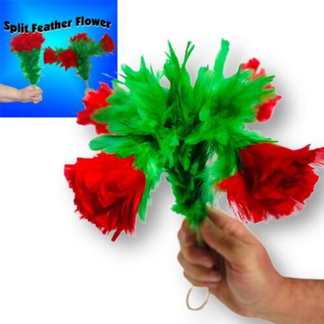 Multiplying 4 Split Feather Flower One Turns to 2 Then 3 Then - Etsy